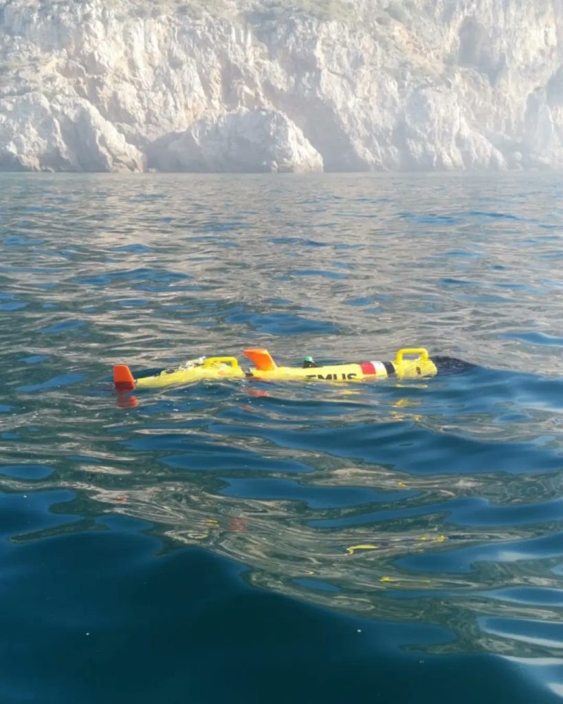 REPMUS 22: Νατοϊκή ναυτική άσκηση με πρωταγωνιστές τα μη επανδρωμένα ...